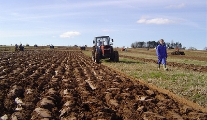 Zarada i život na selu - Zenicablog