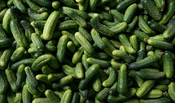 Poticaj za proizvodnja krastavica kornišona - Zenicablog