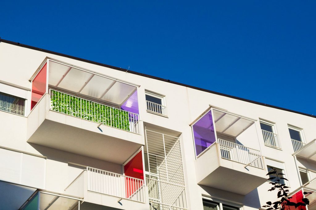 FOTO: Makovi - Zenicablog