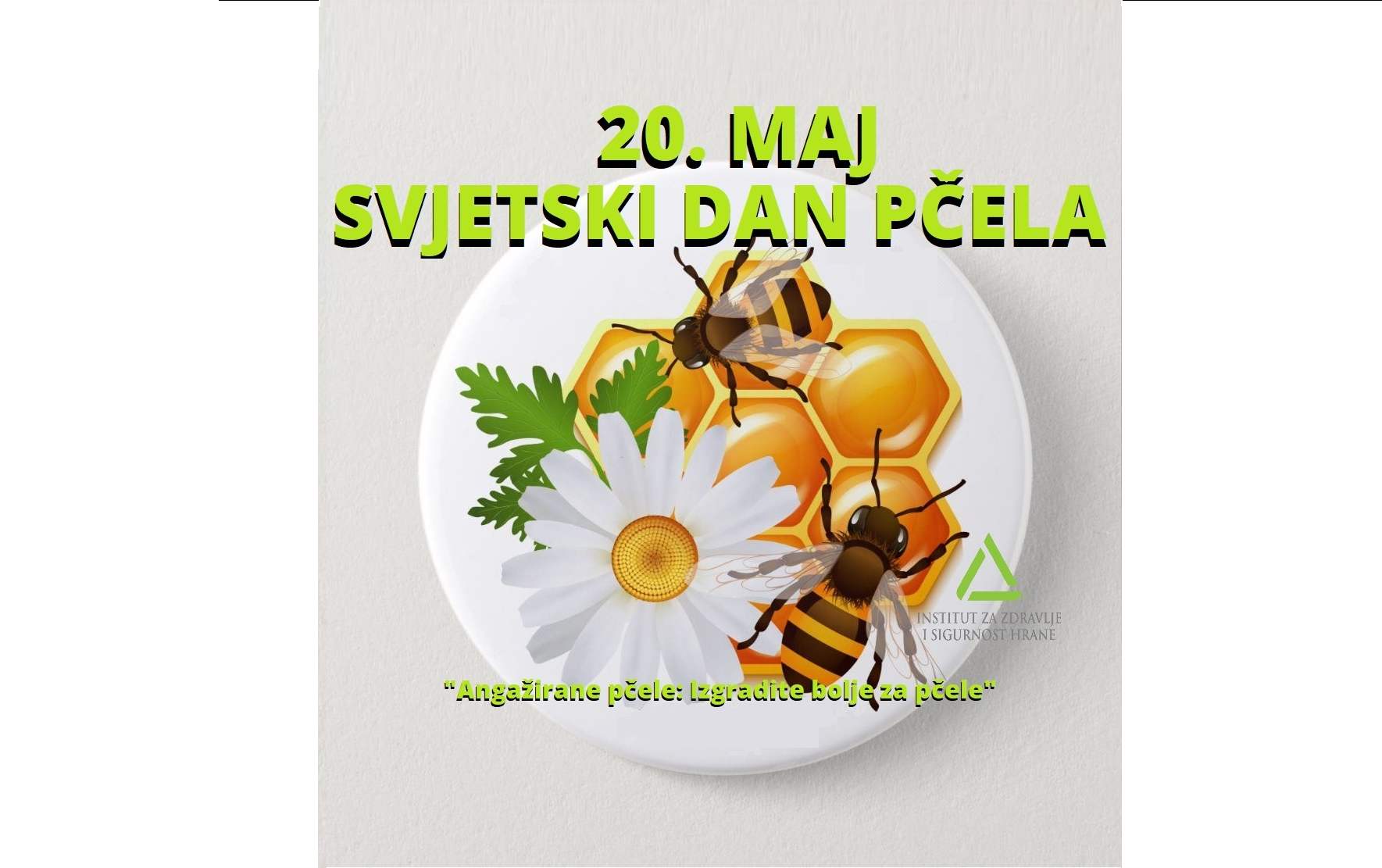 Danas je Svjetski dan pčela - UN pozivaju: Izgradite bolje za pčele ...