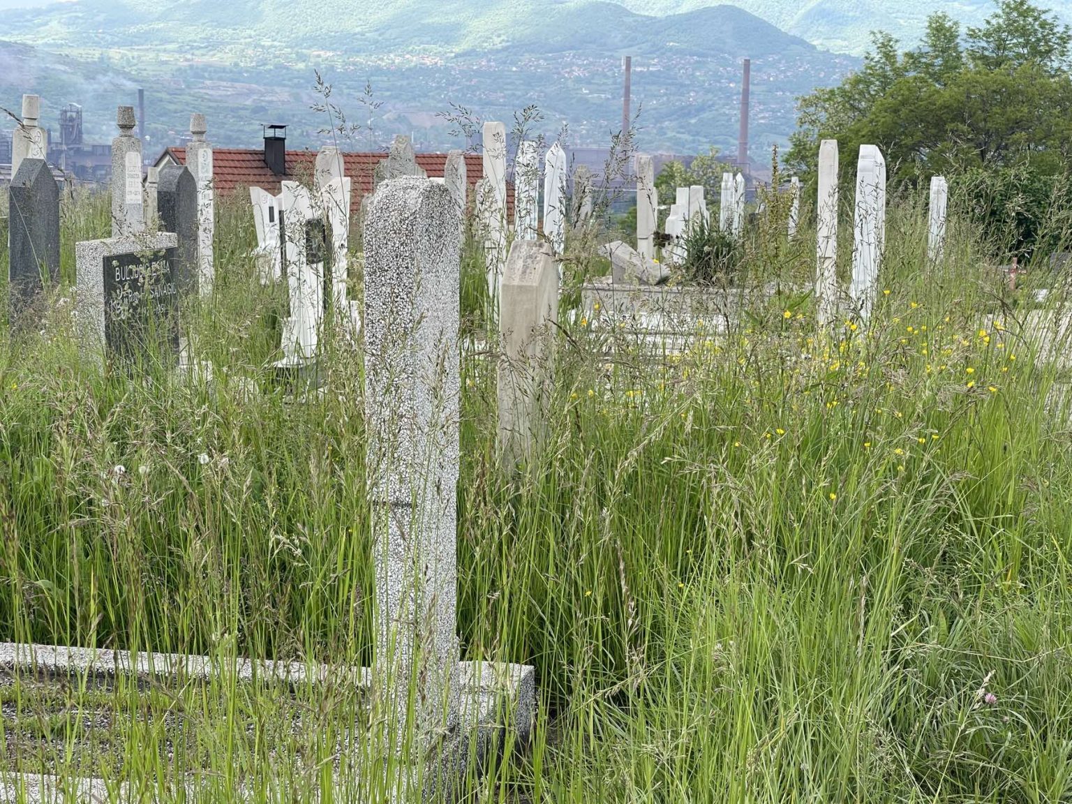 VIDEO+FOTO: Nemar nadležnih - pogledajte kako izgleda Gradsko groblje ...
