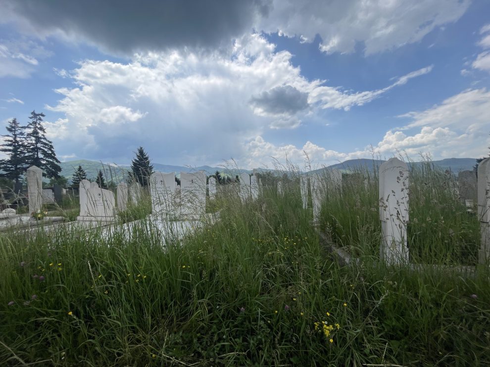 VIDEO+FOTO: Nemar nadležnih - pogledajte kako izgleda Gradsko groblje ...