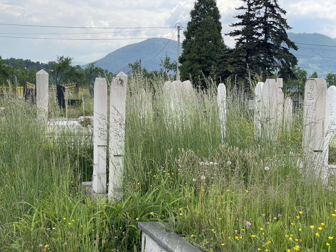 VIDEO+FOTO: Nemar nadležnih - pogledajte kako izgleda Gradsko groblje ...