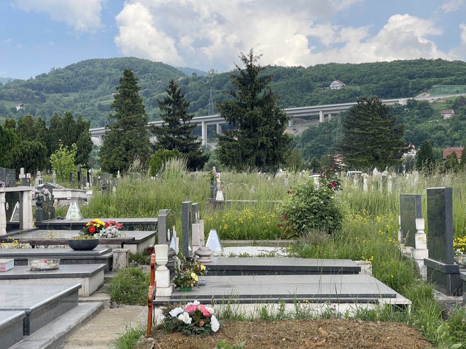 VIDEO+FOTO: Nemar nadležnih - pogledajte kako izgleda Gradsko groblje ...