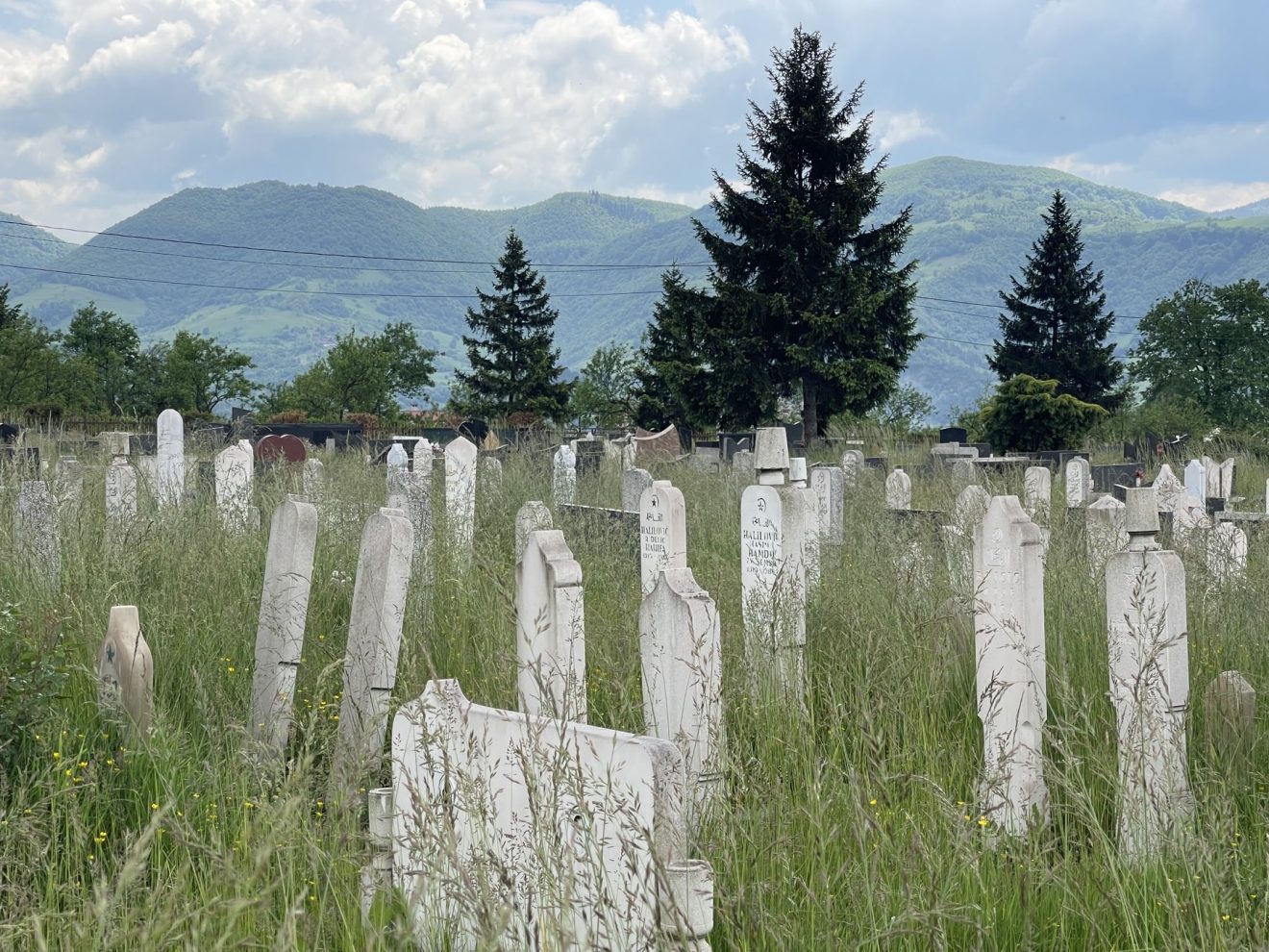 VIDEO+FOTO: Nemar nadležnih - pogledajte kako izgleda Gradsko groblje ...