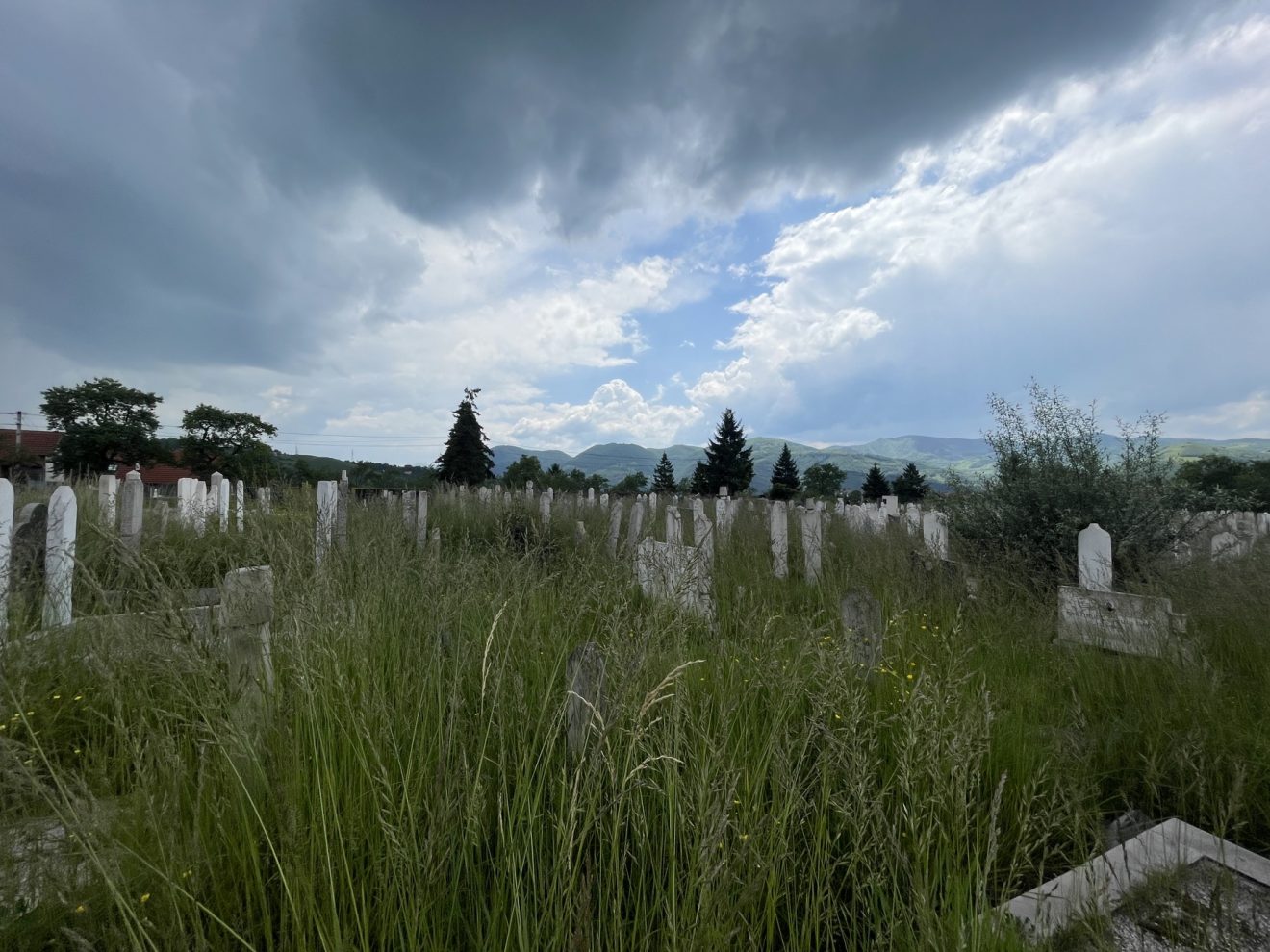 VIDEO+FOTO: Nemar nadležnih - pogledajte kako izgleda Gradsko groblje ...