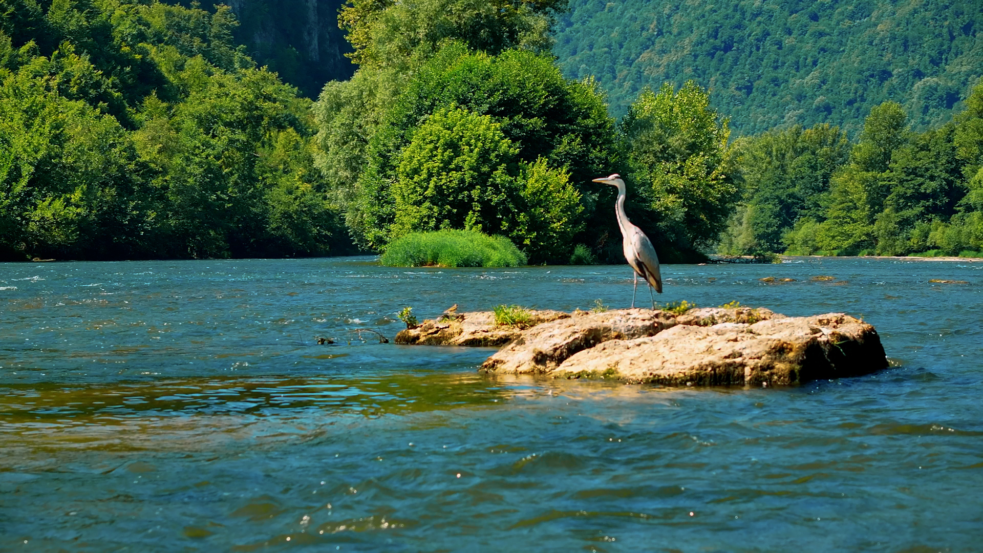 VIDEO: Janjićki slapovi na rijeci Bosni - Zenicablog