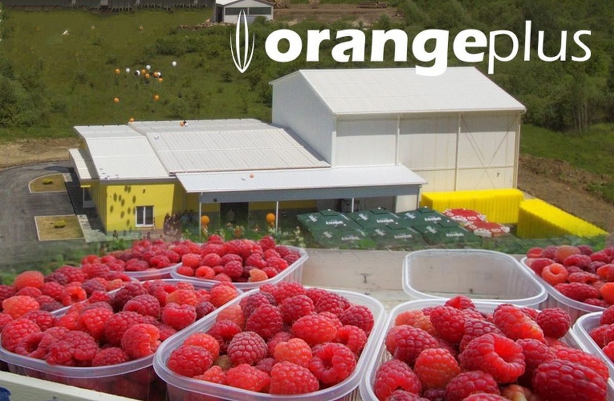 ORANGE PLUS i otkup maline: S nama do uspješne sezone 2025! - Zenicablog