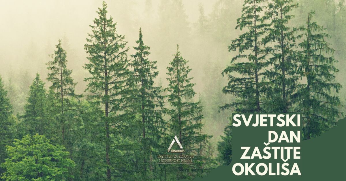 Danas je Svjetski dan zaštite okoliša: Naša zemlja, naša budućnost - Zenicablog