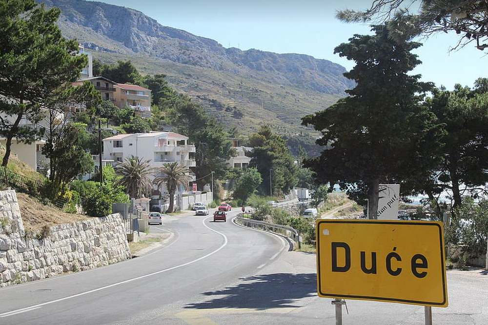 duce ilustracija - Zenicablog